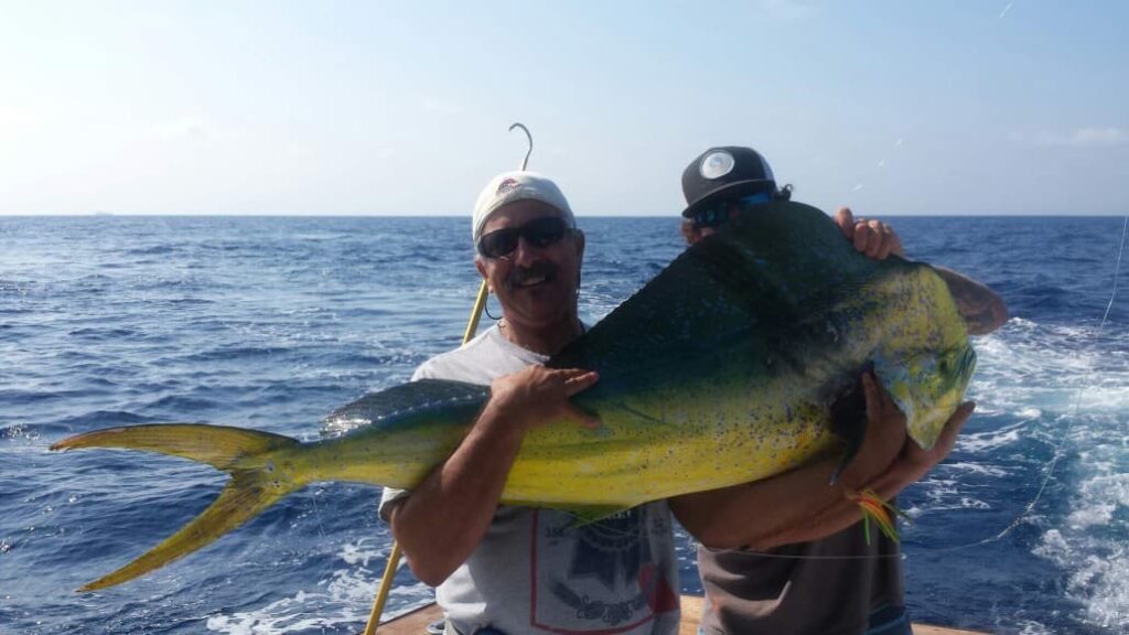 Crash Course To Deep Sea Fishing – Deep Sea Fishing Adventures – Deep ...